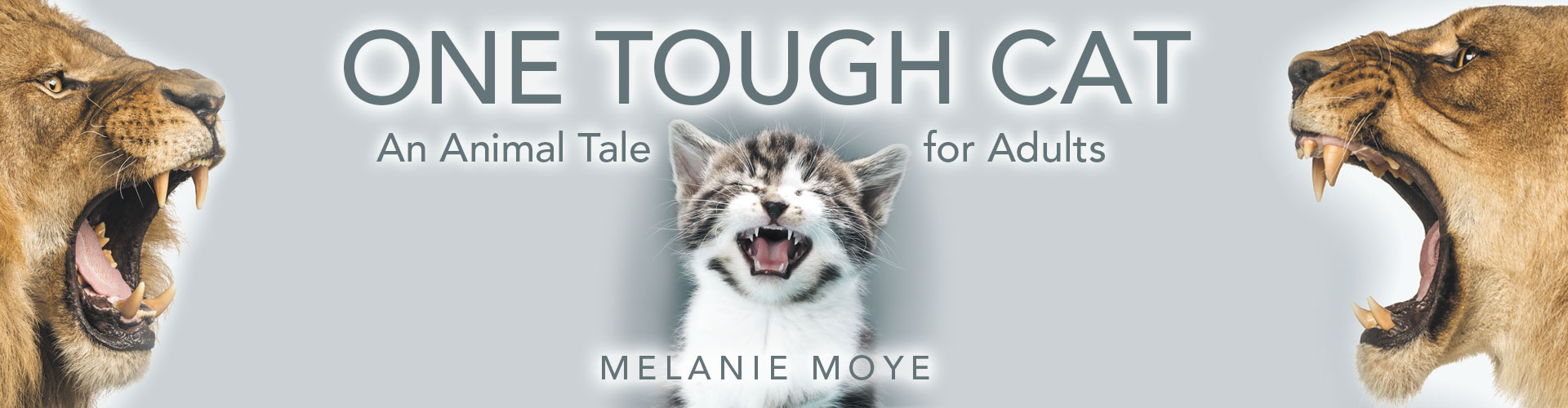 WELCOME! | One Tough Cat